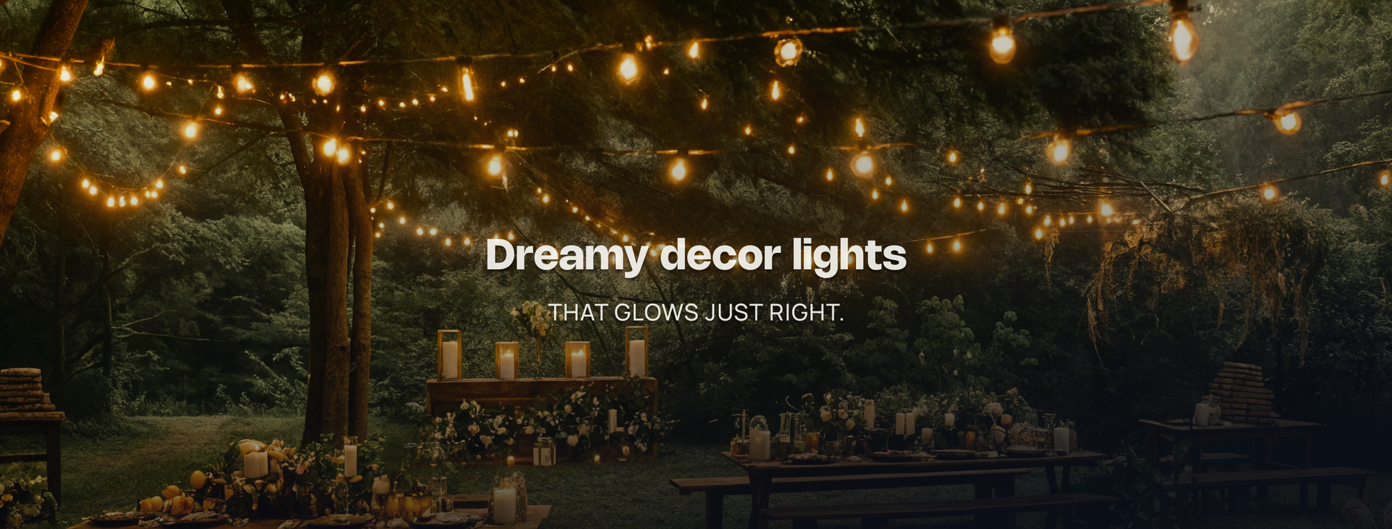 Decorative Lights