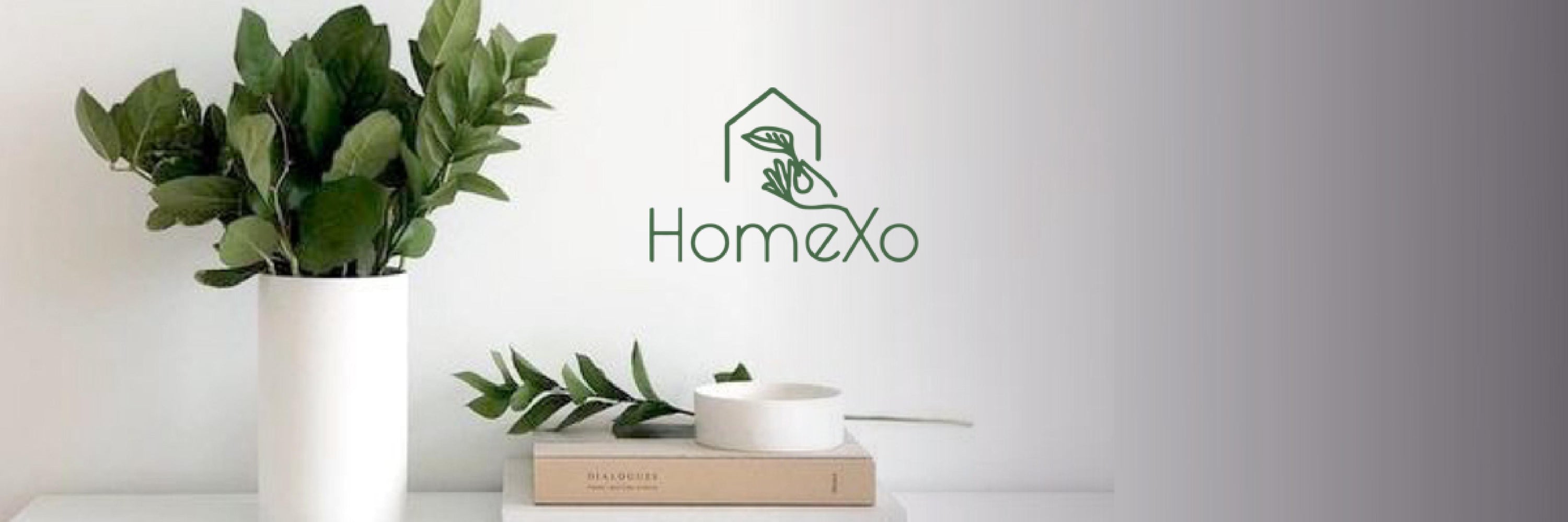 Quirk Up Your Home - Shop for high quality home decorative lights – Xergy